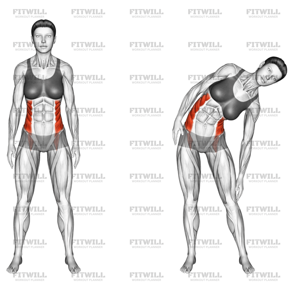 Standing Side Bend: Exercise Guide, Video, Techniques, Benefits, How to ...