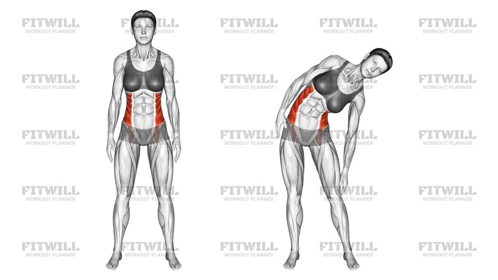 Standing Side Bend: Exercise Guide, Video, Techniques, Benefits, How to, Muscles Worked, Tips ...