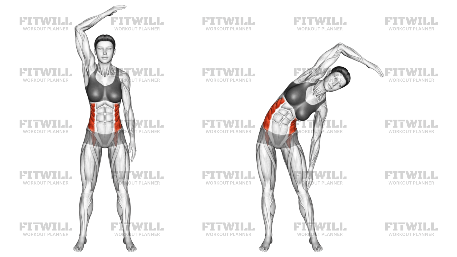 Standing Side Bend (bent Arm): Exercise Guide, Video, Techniques, Benefits, How to, Muscles ...