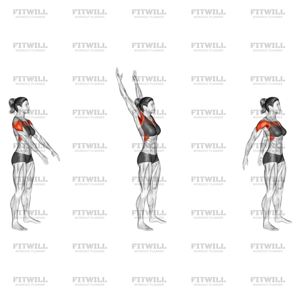 Standing Arms Circling _shoulders: Exercise Guide, Video, Techniques ...