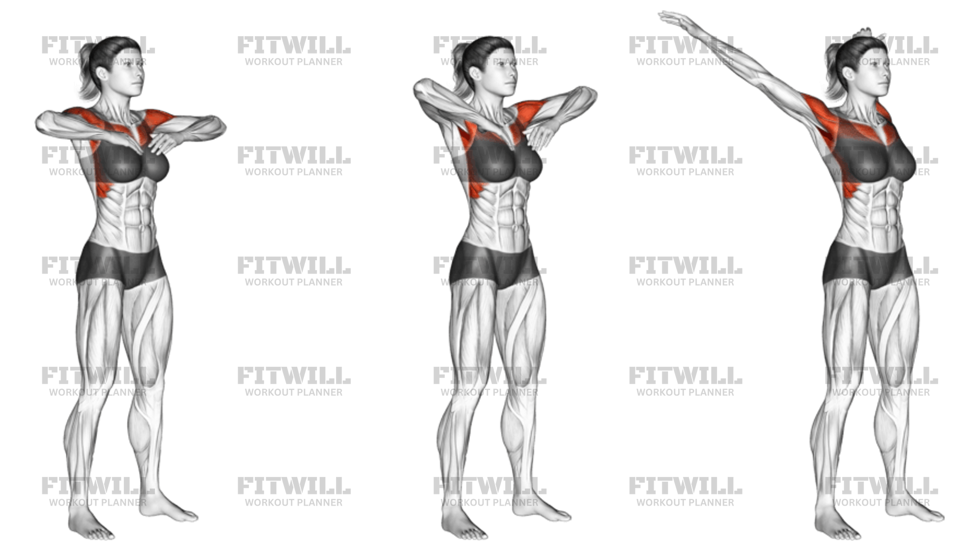 Standing Arms Flinging _shoulders: Exercise Guide, Video, Techniques ...