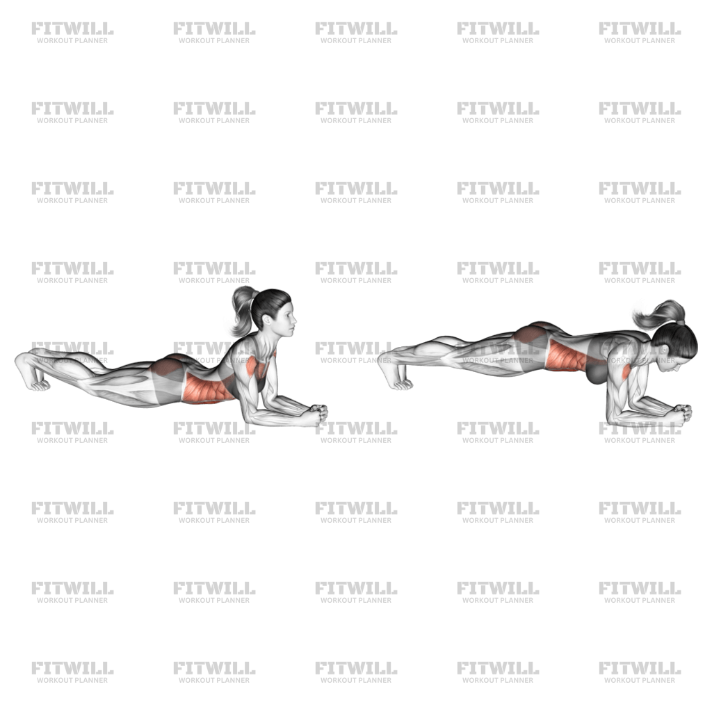 Elbow Push Up: Exercise Guide, Video, Techniques, Benefits, How to ...