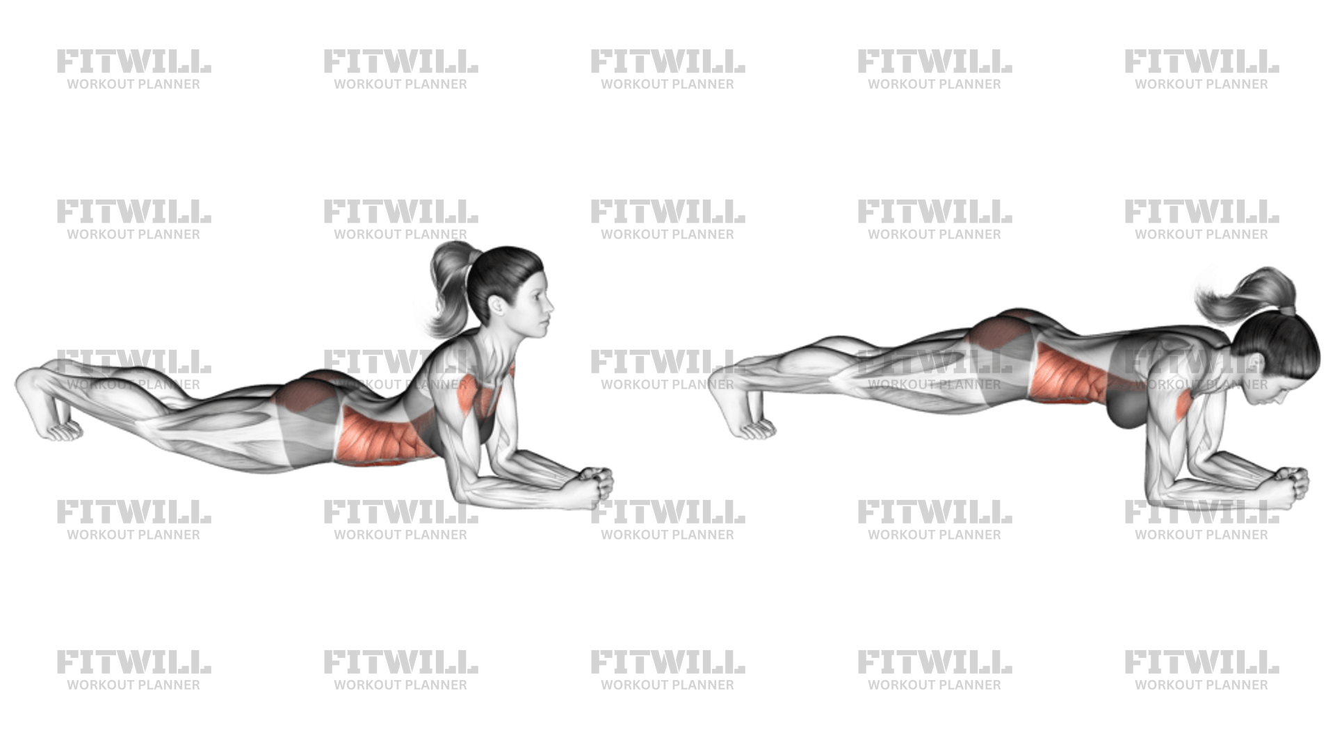 Elbow Push Up Exercise Guide Video Techniques Benefits How To