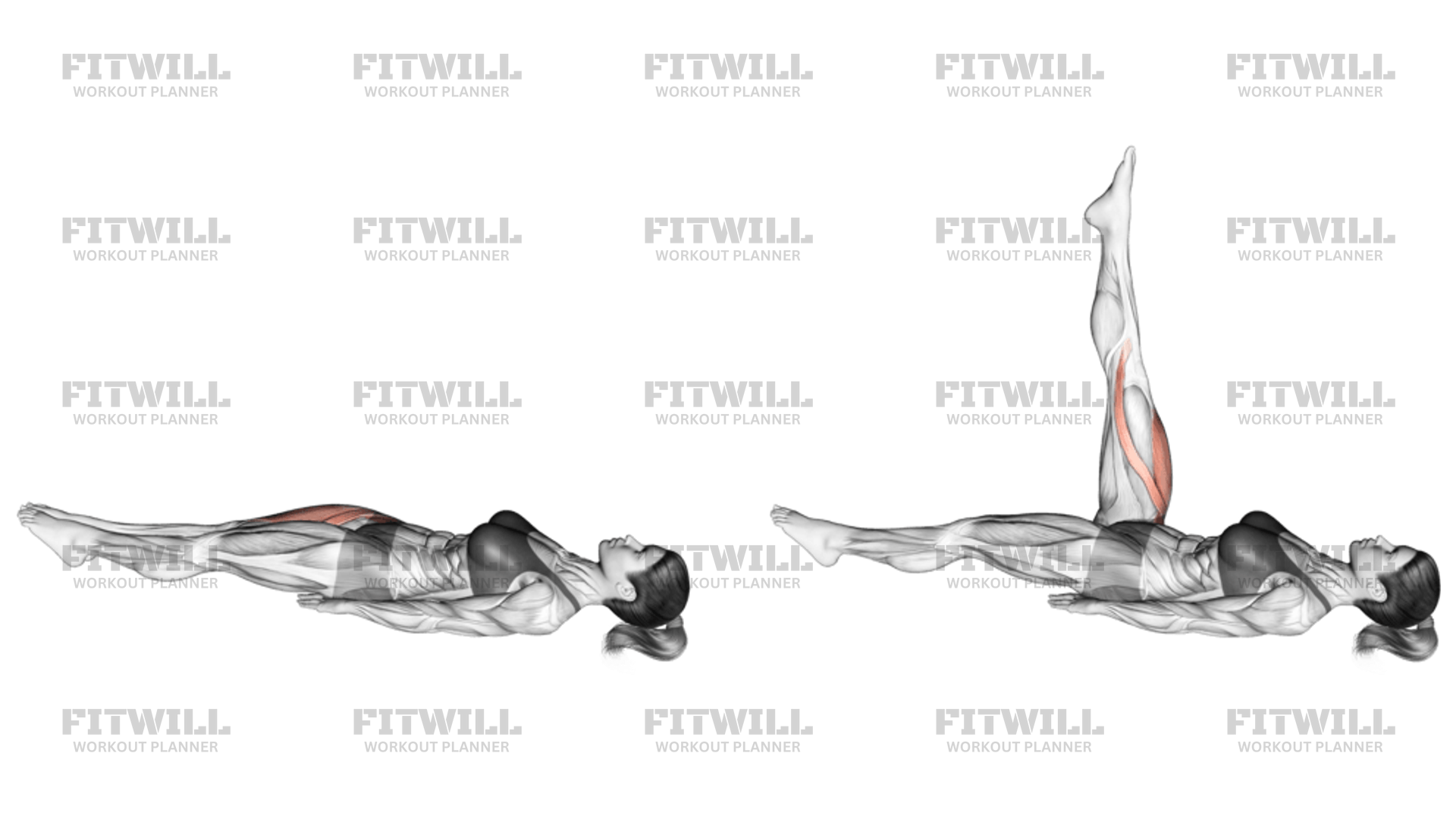 Lying Single Leg Raise: Exercise Guide, Video, Techniques, Benefits ...