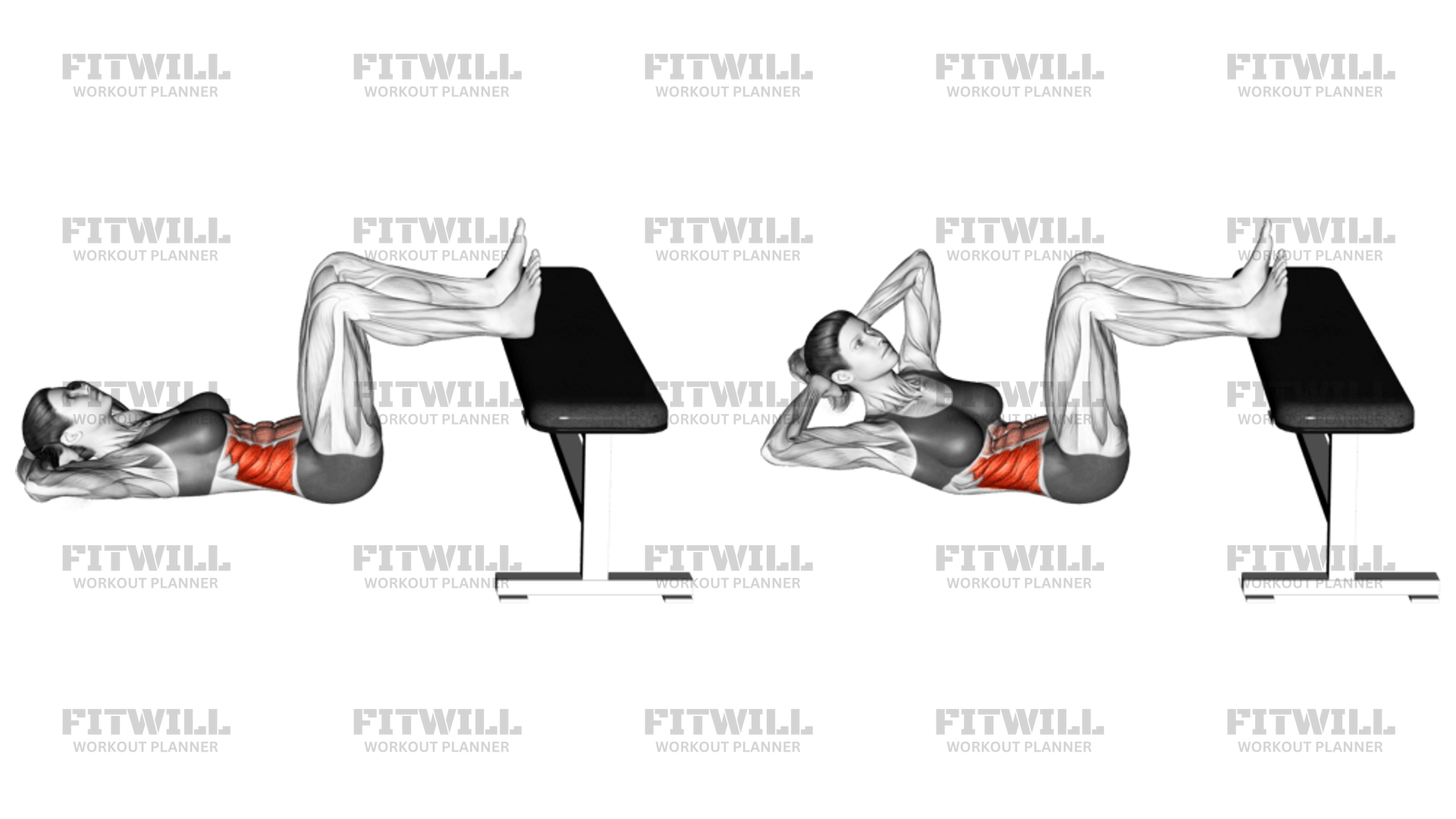 Floor Twisting Crunch Feet On Bench: Exercise Guide, Techniques ...