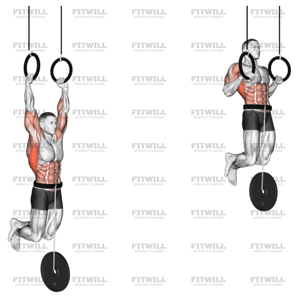 Weighted Muscle Up: Exercise Guide, Techniques, Benefits, How to ...