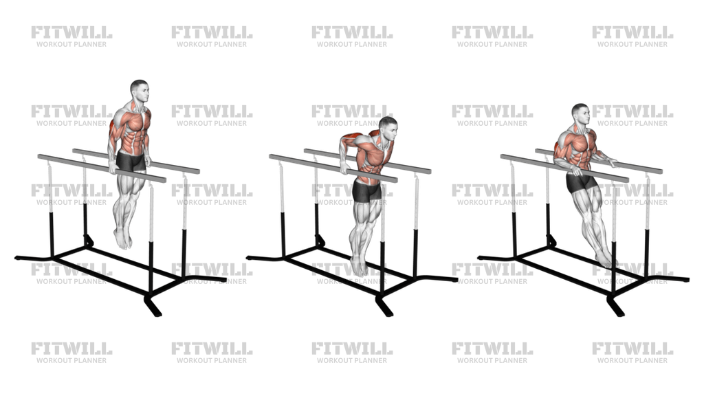 Elbow Dips: Exercise Guide, Techniques, Benefits, How to, Muscles Worked, Tips & Tricks | Fitwill