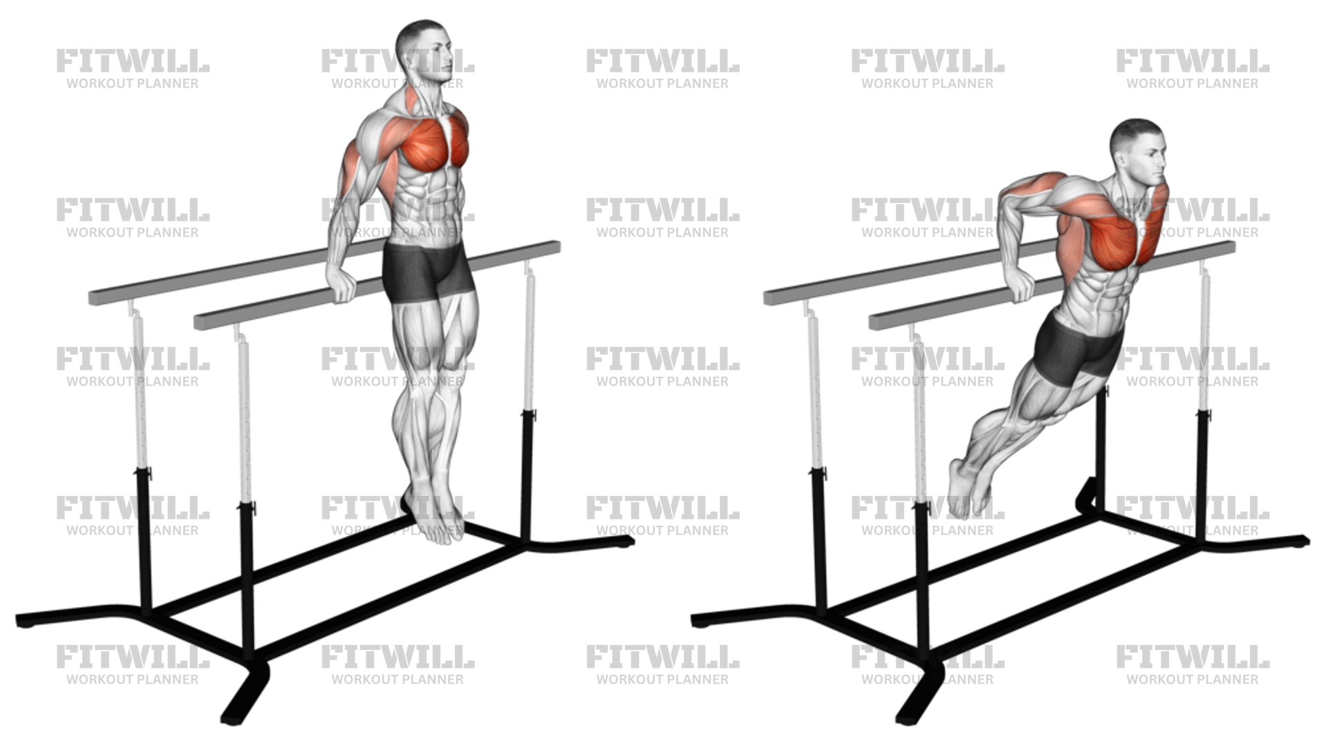 Korean Dips: Exercise Guide, Techniques, Benefits, How to, Muscles ...
