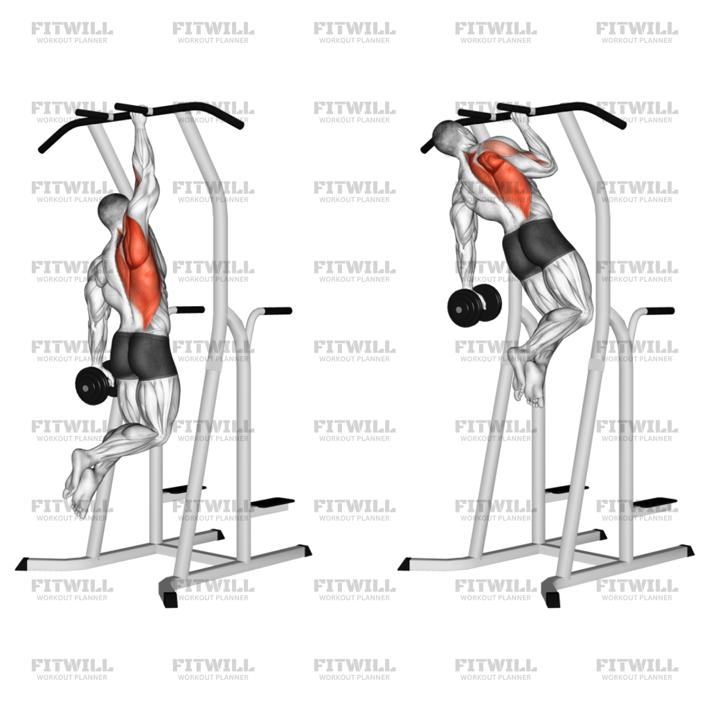 Weighted One Hand Pull Up: Exercise Guide, Techniques, Benefits, How to ...