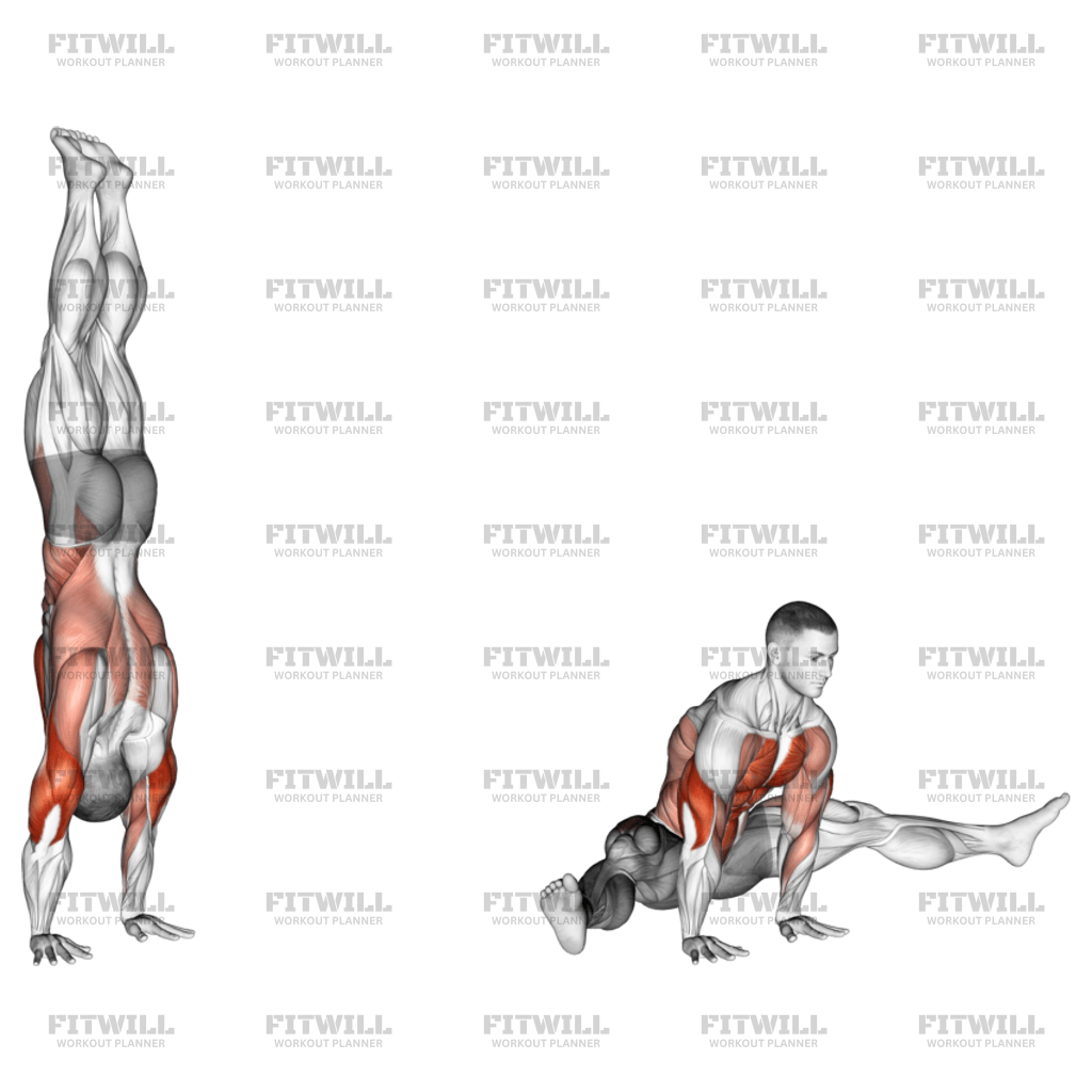 Press De Stalder: Guía de Ejercicios, Técnicas, Beneficios, Cómo ...