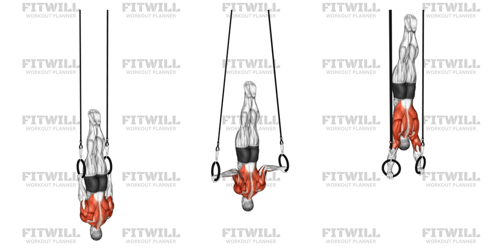 Elevator: Exercise Guide, Techniques, Benefits, How to, Muscles Worked, Tips & Tricks | Fitwill