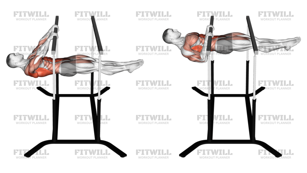 Front Lever Reps: Exercise Guide, Techniques, Benefits, How to, Muscles ...