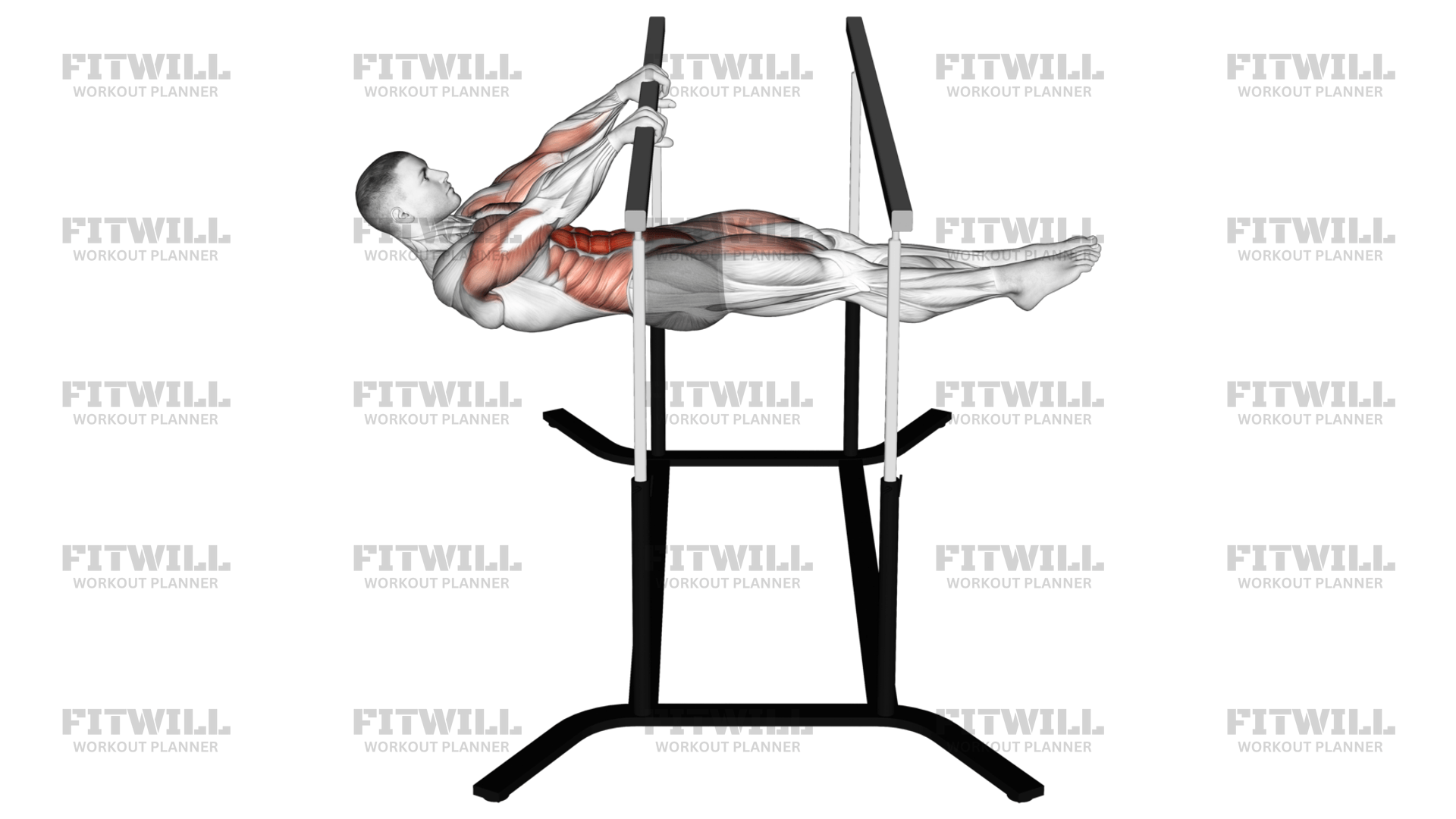 Front Lever: Exercise Guide, Video, Techniques, Benefits, How to ...