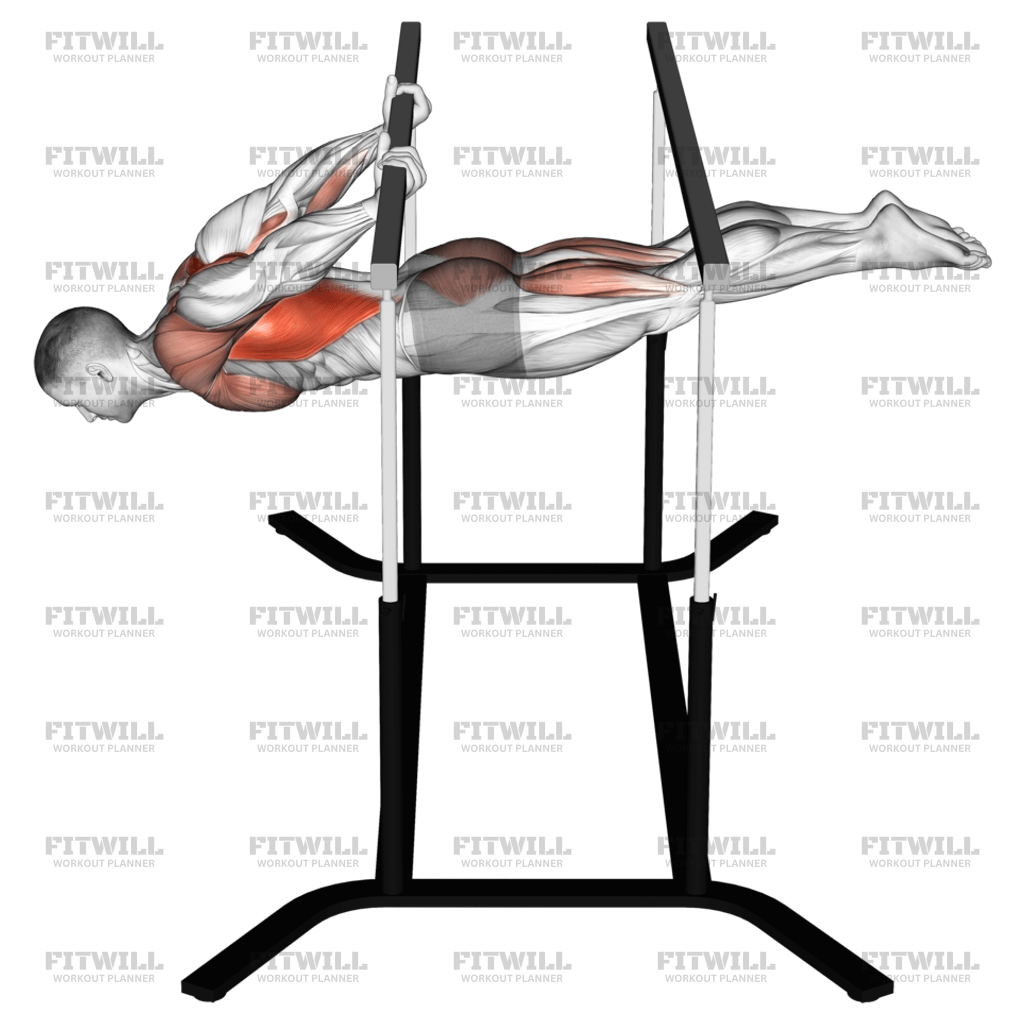 Back Lever: Exercise Guide, Video, Techniques, Benefits, How to ...