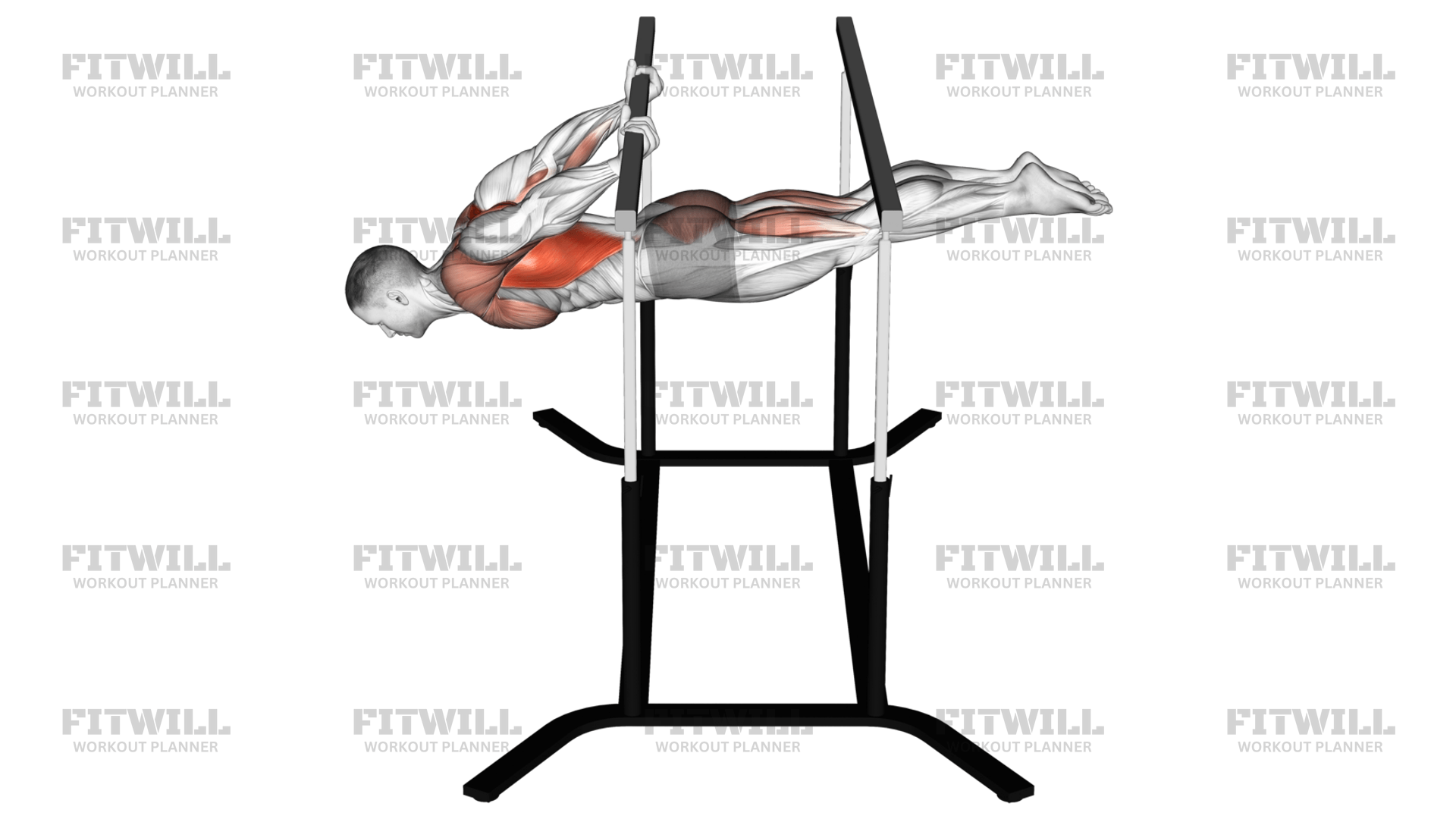 Back Lever: Exercise Guide, Video, Techniques, Benefits, How to ...