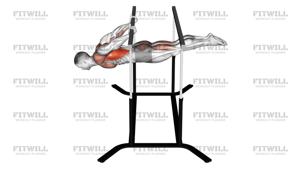 Back Lever: Exercise Guide, Video, Techniques, Benefits, How to ...