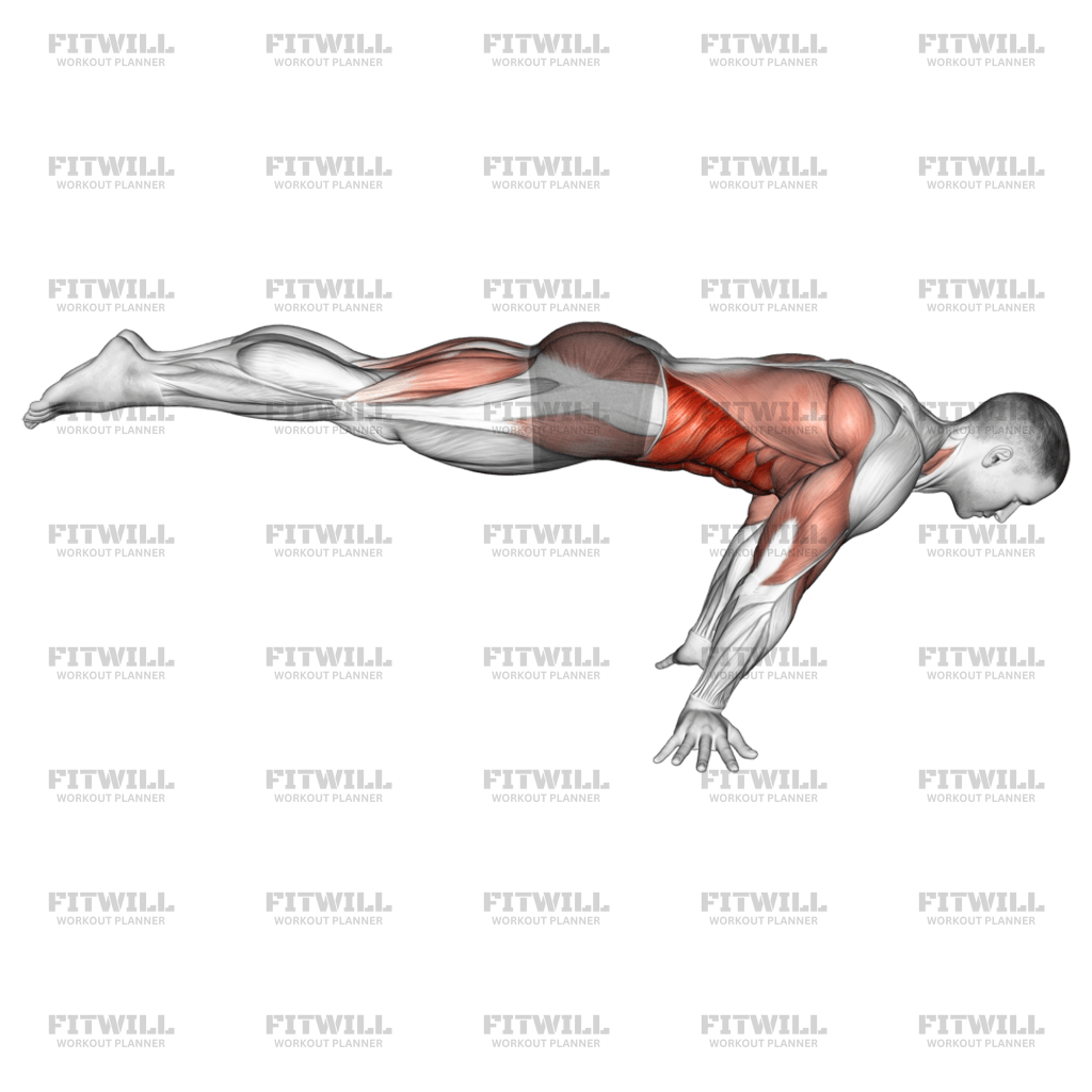 Plancha Completa: Guía de Ejercicios, Video, Técnicas, Beneficios, Cómo ...