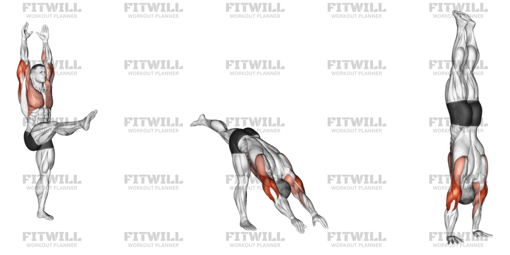 Handstand: Exercise Guide, Video, Techniques, Benefits, How to, Muscles ...