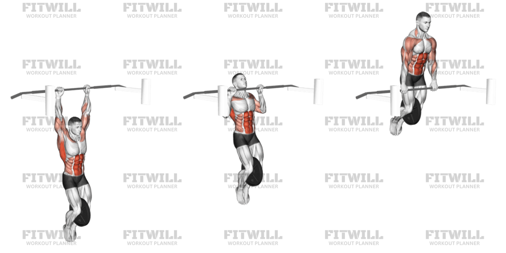 Weighted Muscle up (on bar): Guide, Techniques, Benefits, How to ...