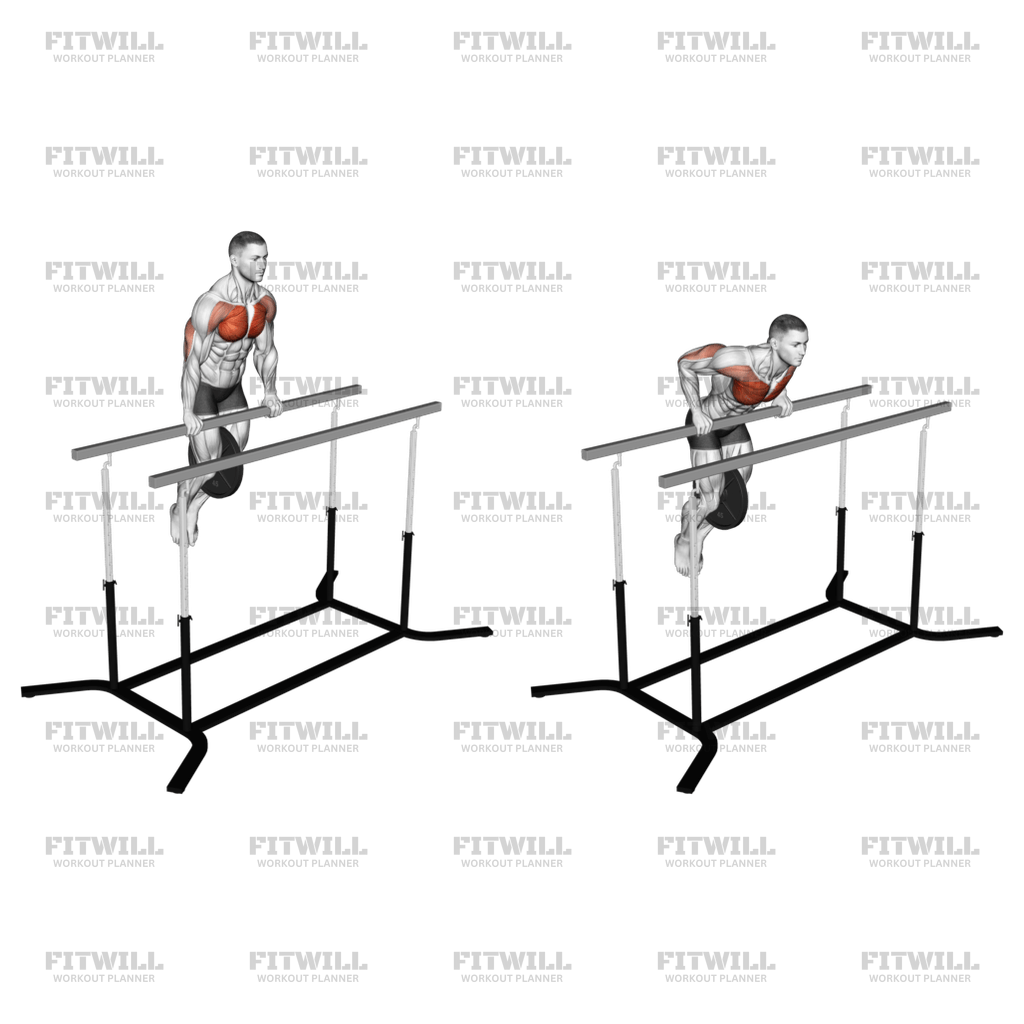 Weighted Straight Bar Dip: Exercise Guide, Techniques, Benefits, How to ...