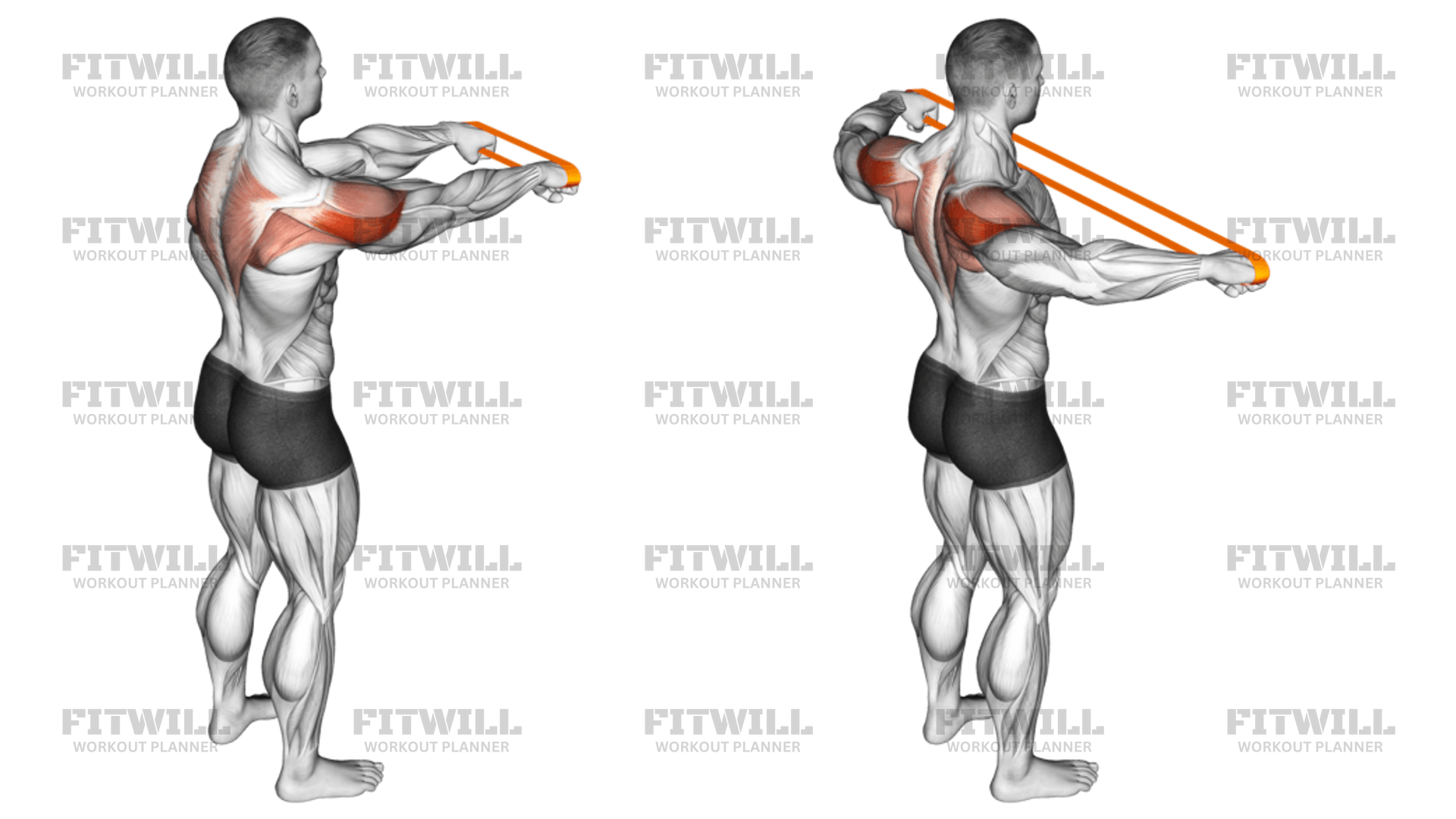 Resistance Band Rear Fly: Exercise Guide, Techniques, Benefits, How to ...