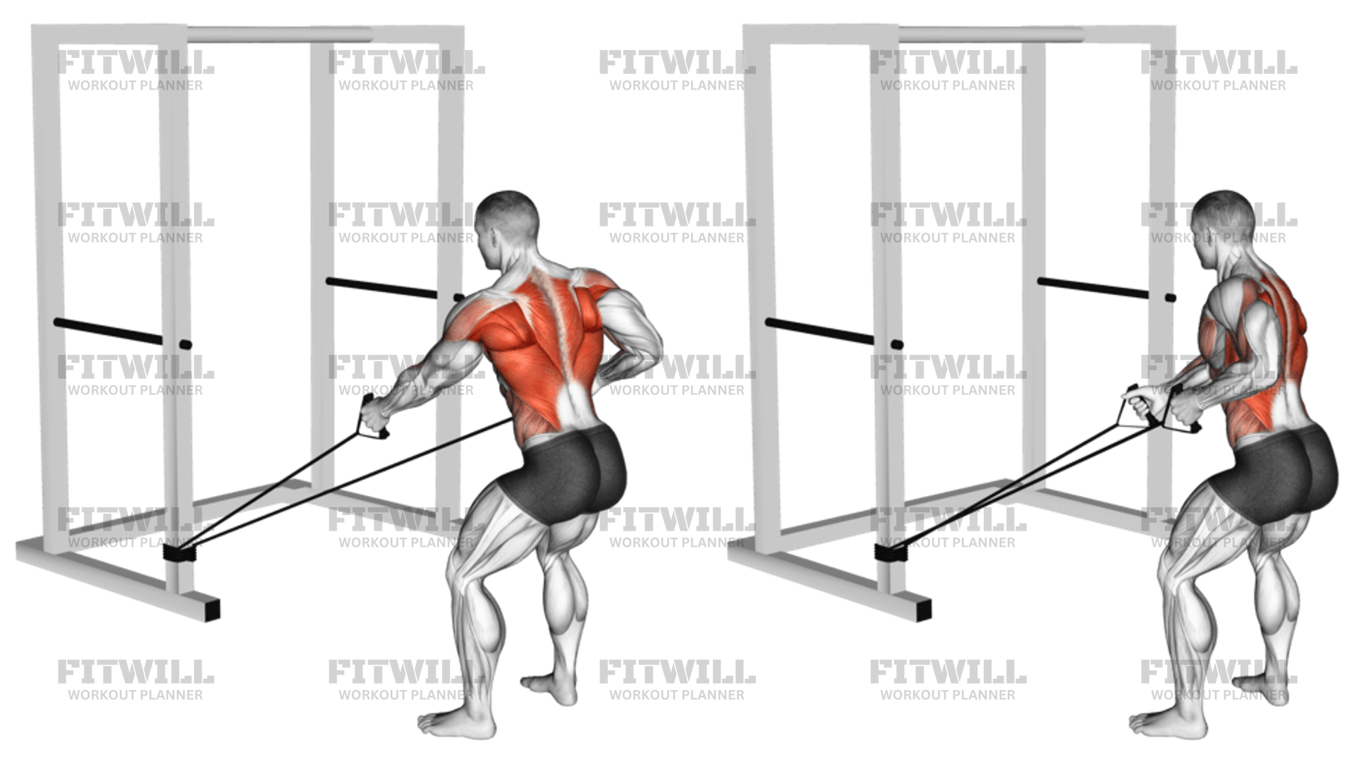 Band Alternate Low Row Wtih Twist: Exercise Guide, Techniques, Benefits ...