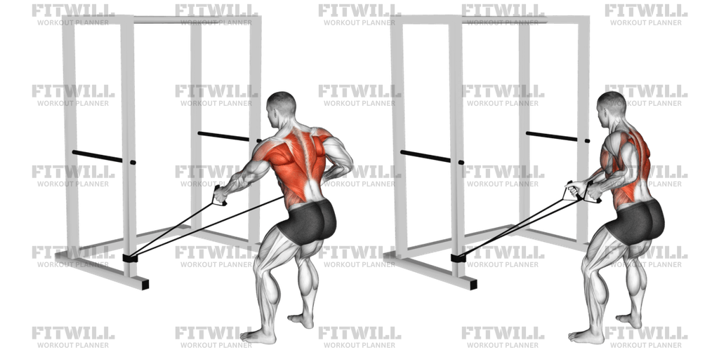 Band Alternate Low Row Wtih Twist: Exercise Guide, Techniques, Benefits ...