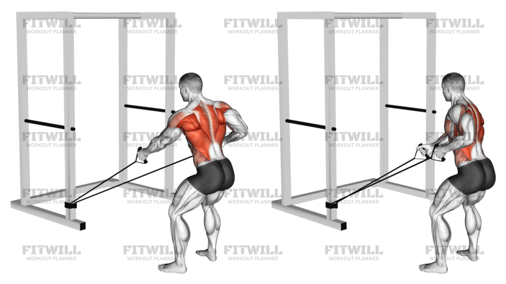 Band Alternate Low Row Wtih Twist: Exercise Guide, Techniques, Benefits ...