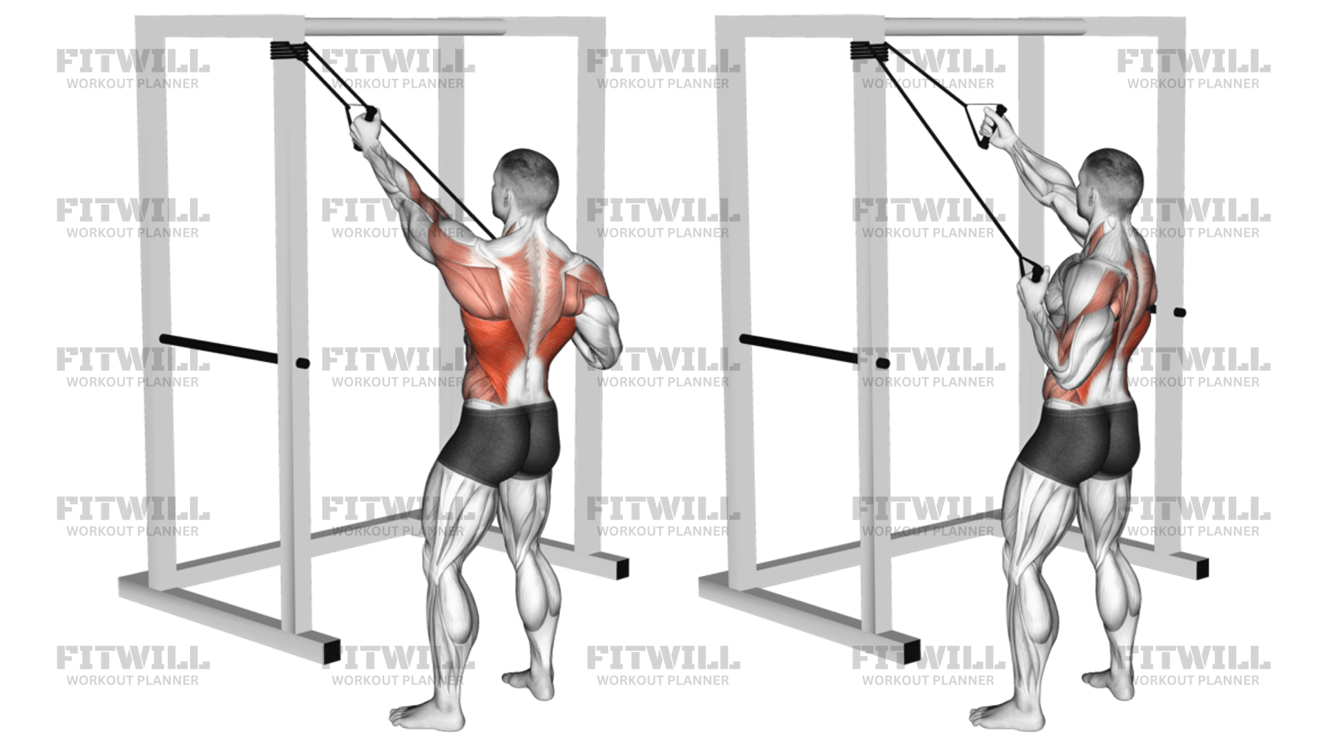 Band Alternate Lat Pulldown With Twist: Exercise Guide, Techniques ...