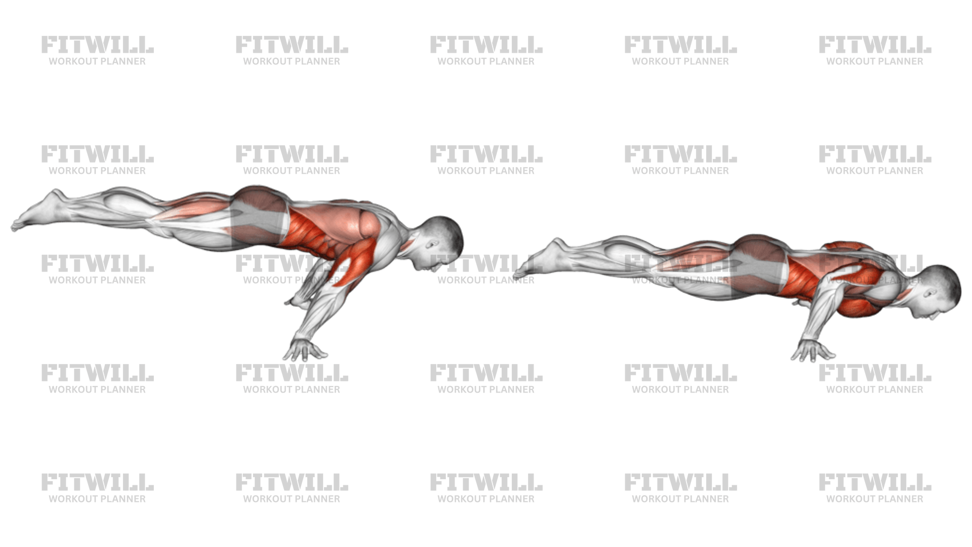 Full Planche Push-up: Exercise Guide, Video, Techniques, Benefits, How to, Muscles Worked, Tips ...