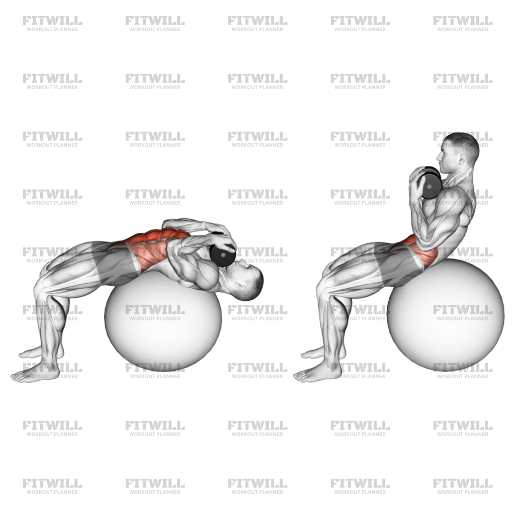 Weighted Stability Ball Crunch (Full Range): Exercise Guide, Techniques ...