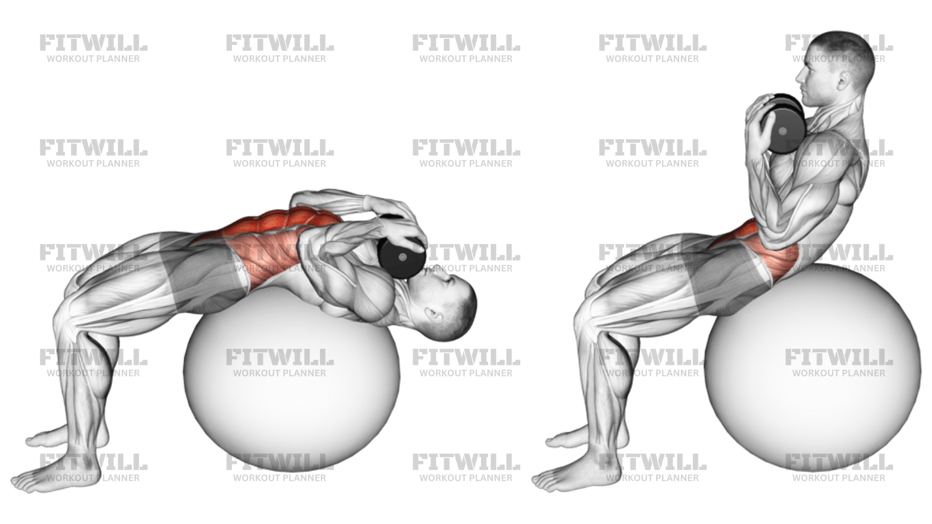 Crunch Avec Poids Sur Ballon De Stabilité (Amplitude Complète): Guide d ...