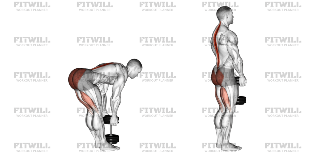 Dumbbell Stiff Leg Deadlift: Exercise Guide, Video, Techniques ...