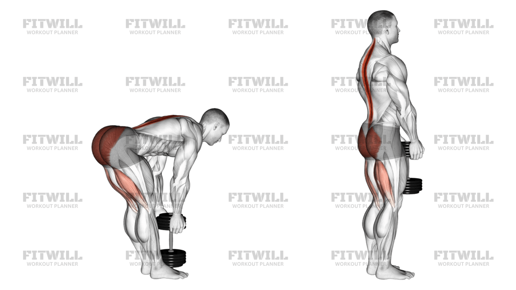 Dumbbell Stiff Leg Deadlift: Exercise Guide, Video, Techniques ...