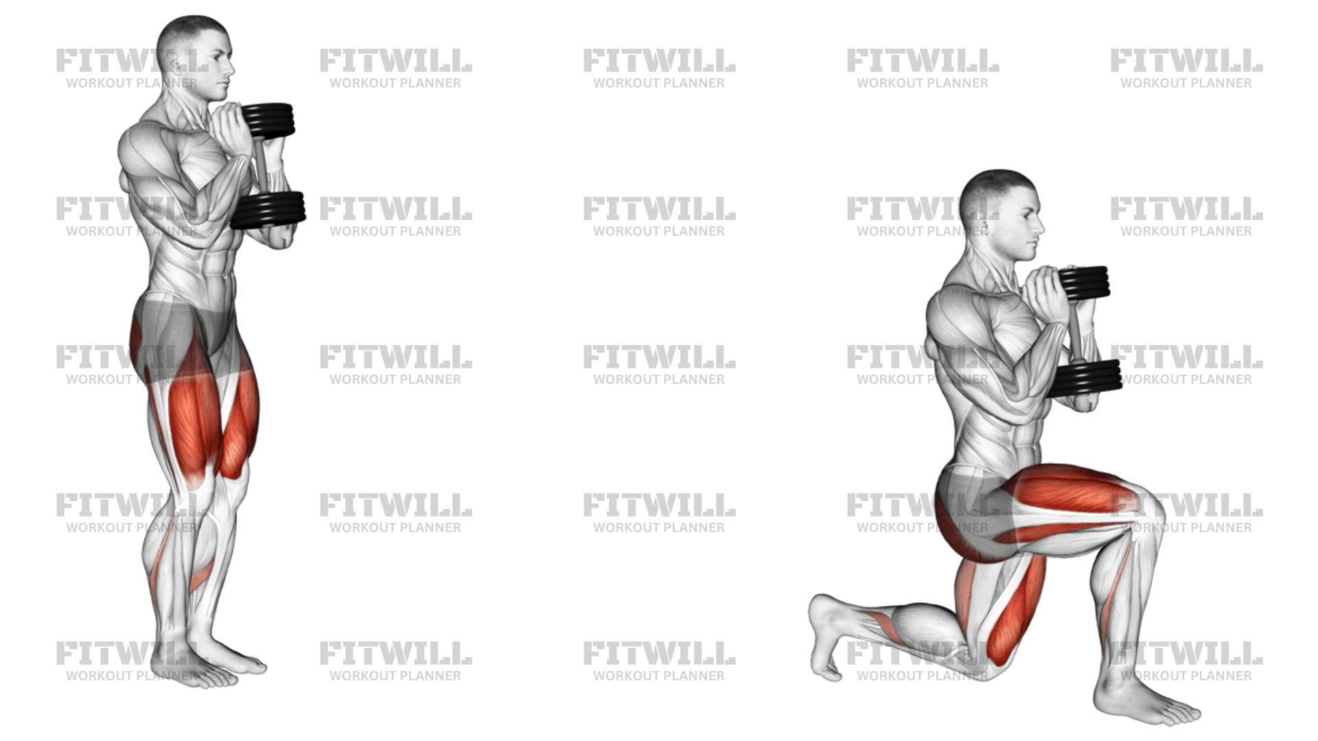Zancada Con Mancuernas (VERSIÓN 2): Guía de Ejercicios, Técnicas ...