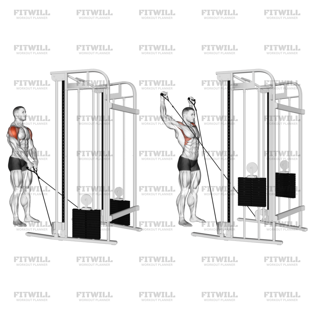 Cable Y-raise: Exercise Guide, Video, Techniques, Benefits, How to ...