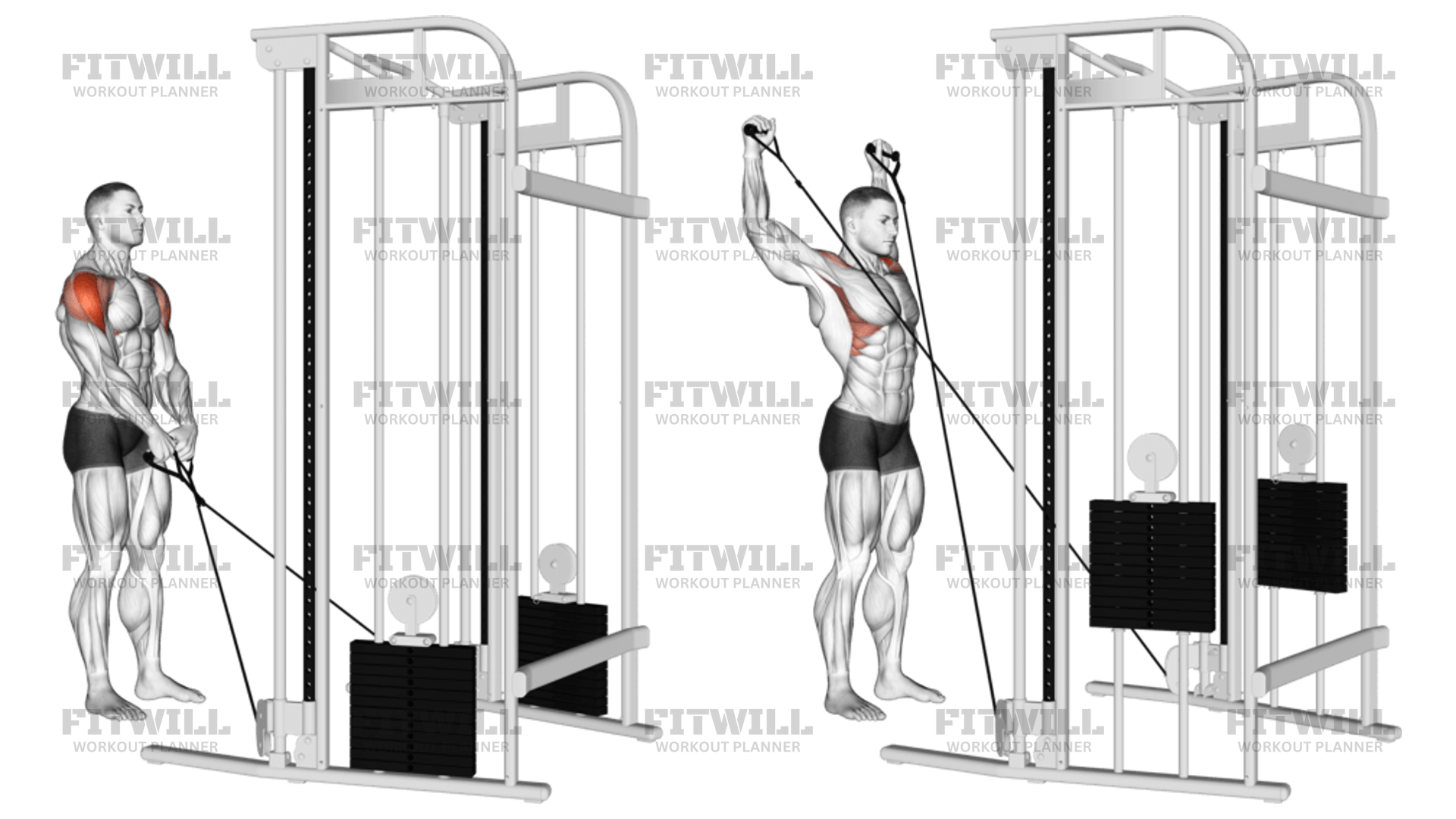 Cable Y-raise: Exercise Guide, Video, Techniques, Benefits, How to ...