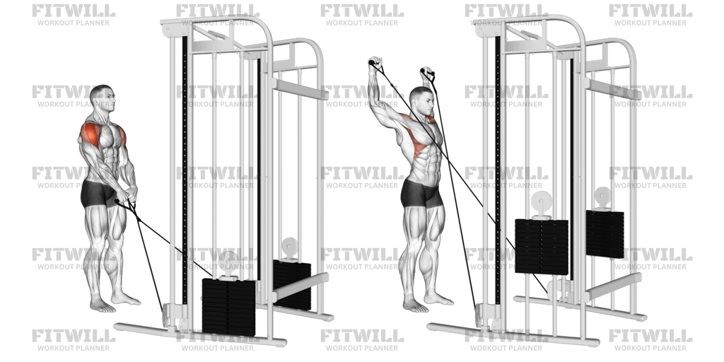 Cable Y-Raise: Exercise Guide, Video, Techniques, Benefits, How to ...