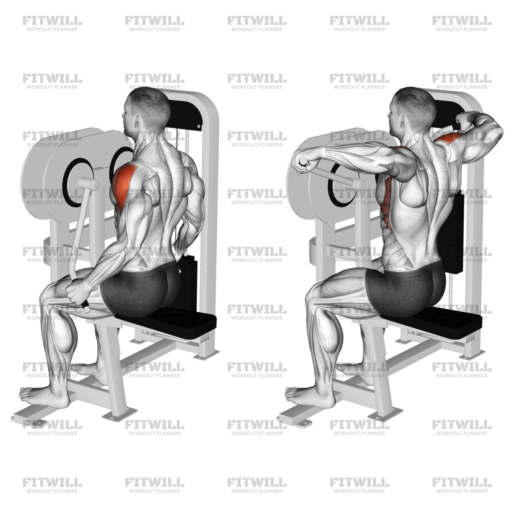 Lever Lateral Raise (VERSION 2): Exercise Guide, Video, Techniques ...