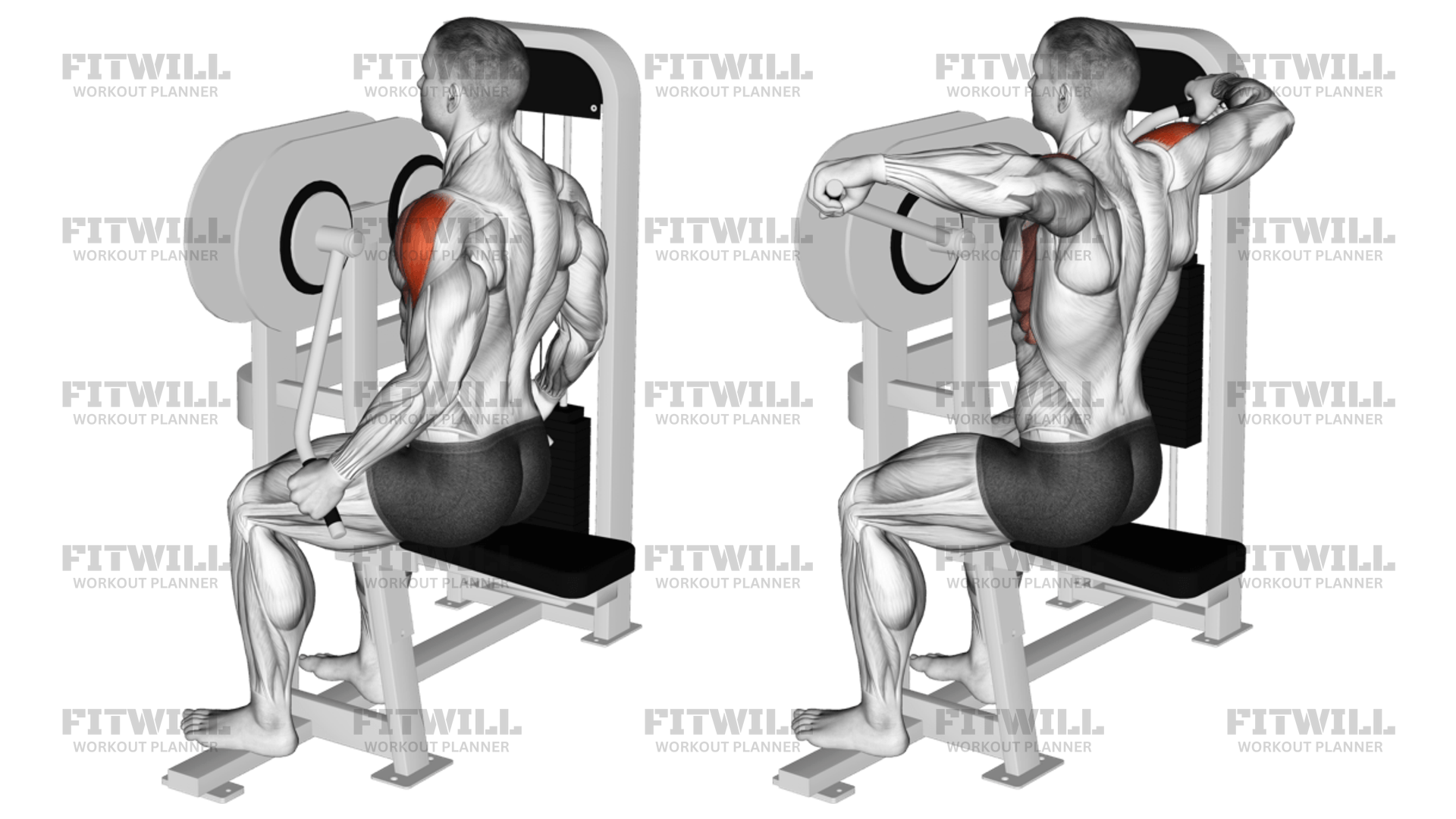 Lever Lateral Raise (VERSION 2): Exercise Guide, Video, Techniques, Benefits, How to, Muscles ...