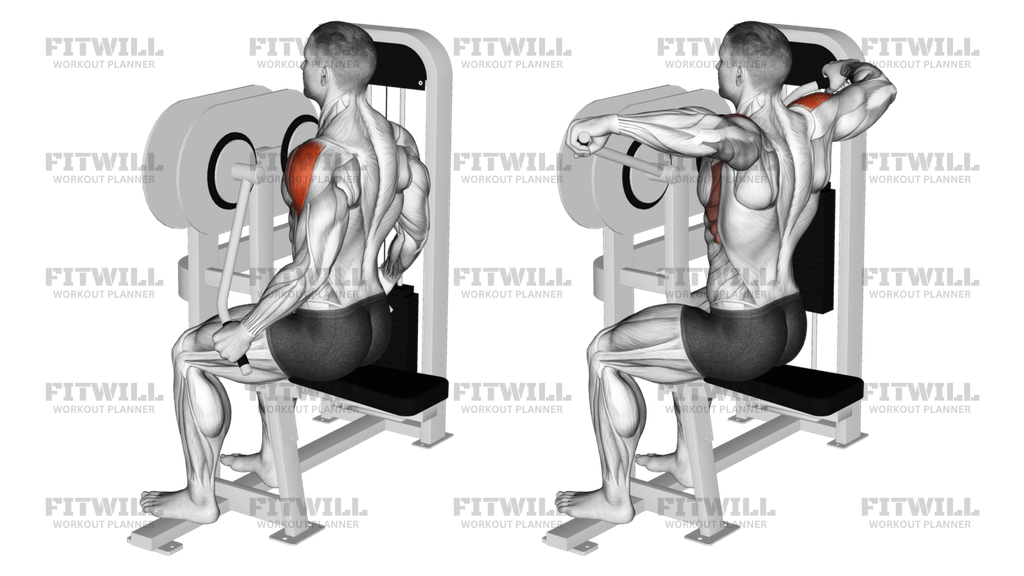 Lever Lateral Raise (VERSION 2): Exercise Guide, Video, Techniques ...