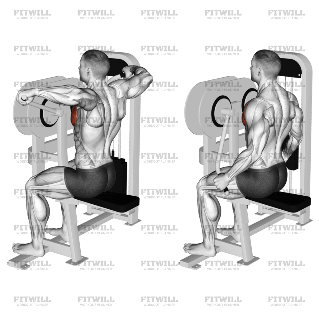 Lever Crossovers: Exercise Guide, Video, Techniques, Benefits, How to ...