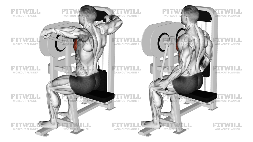 Lever Crossovers: Exercise Guide, Video, Techniques, Benefits, How to ...