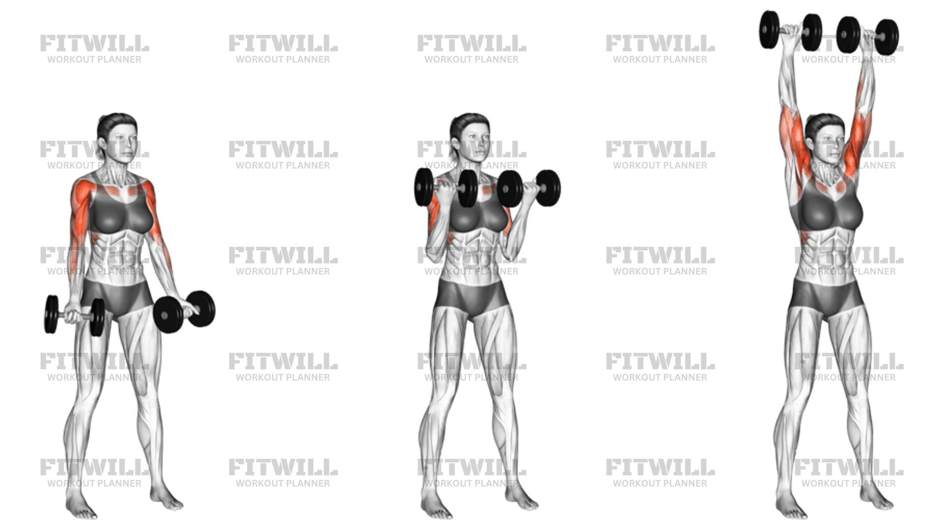 Dumbbell Curl To Press Exercise Guide Video Techniques Benefits How To Muscles Worked