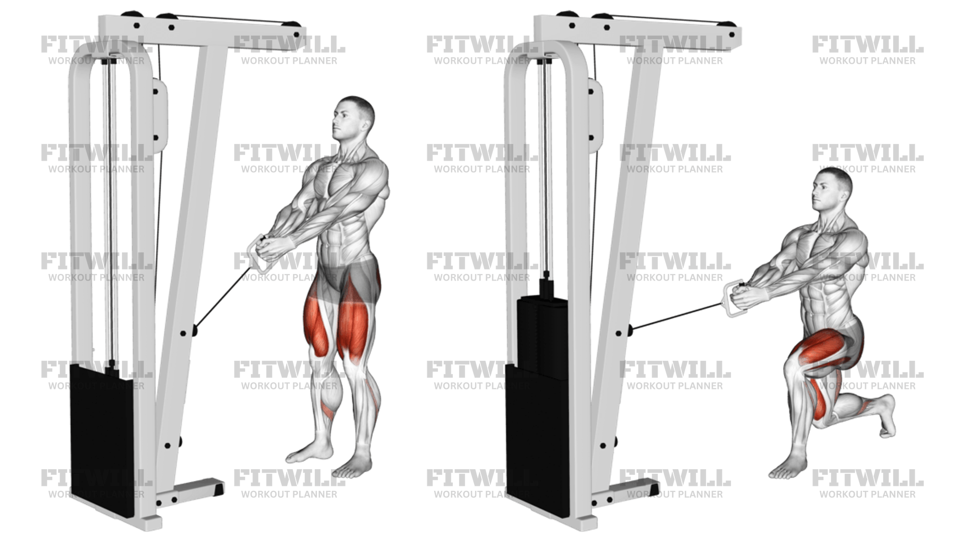 Cable Lunge: Exercise Guide, Techniques, Benefits, How to, Muscles ...