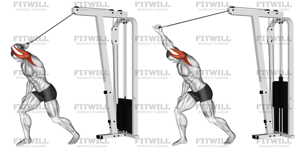 Cable One Arm High Pulley Overhead Tricep Extension: Exercise Guide ...
