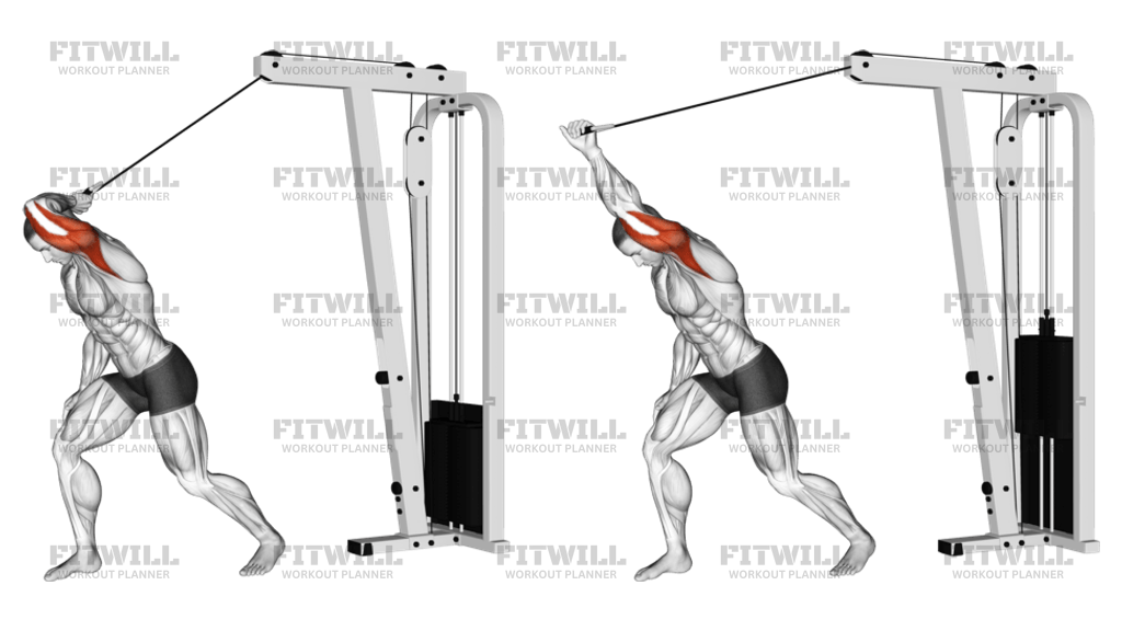 Cable One Arm High Pulley Overhead Tricep Extension: Exercise Guide ...