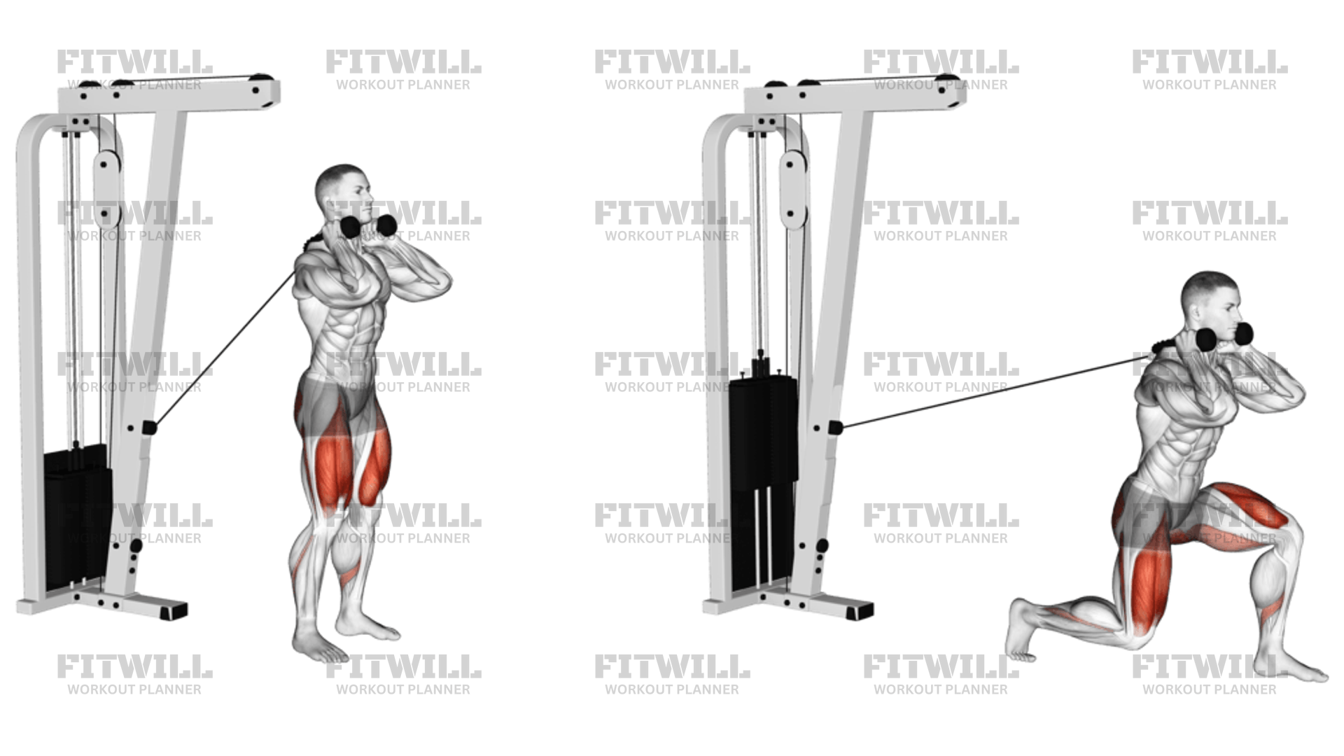 Cable Forward Lunge: Exercise Guide, Techniques, Benefits, How to ...