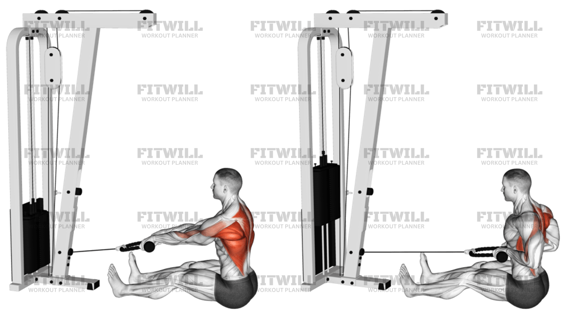 Cable Seated On Floor Row With Rope: Exercise Guide, Video, Techniques ...