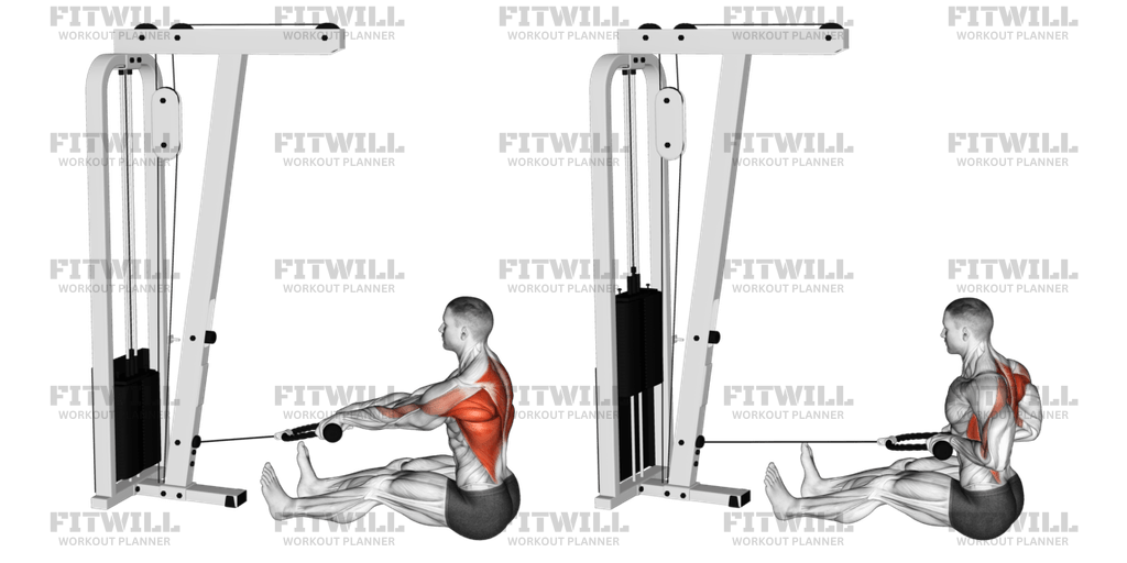 Cable Seated On Floor Row With Rope: Exercise Guide, Video, Techniques ...
